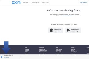 Zoom Basics – Join a Meeting – Janelle Durham