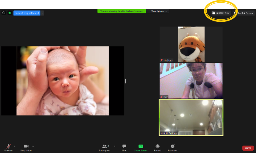 Building Your Zoom Skills – Janelle Durham